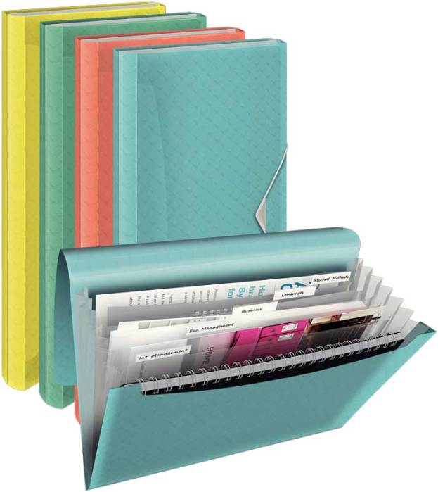 Dossiermap ESSELTE Projectmap, A4 | Colour'Breeze | Paradisio